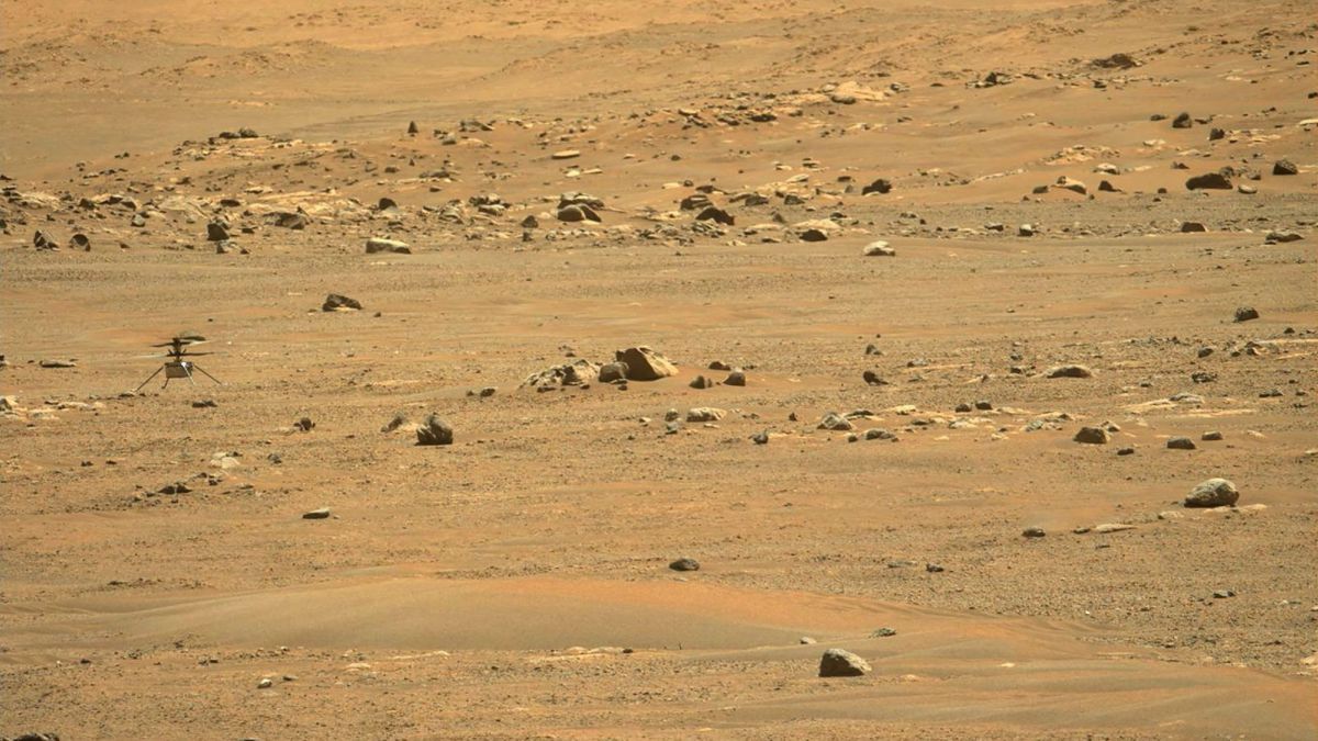 Nasa Mars Rover Reports
